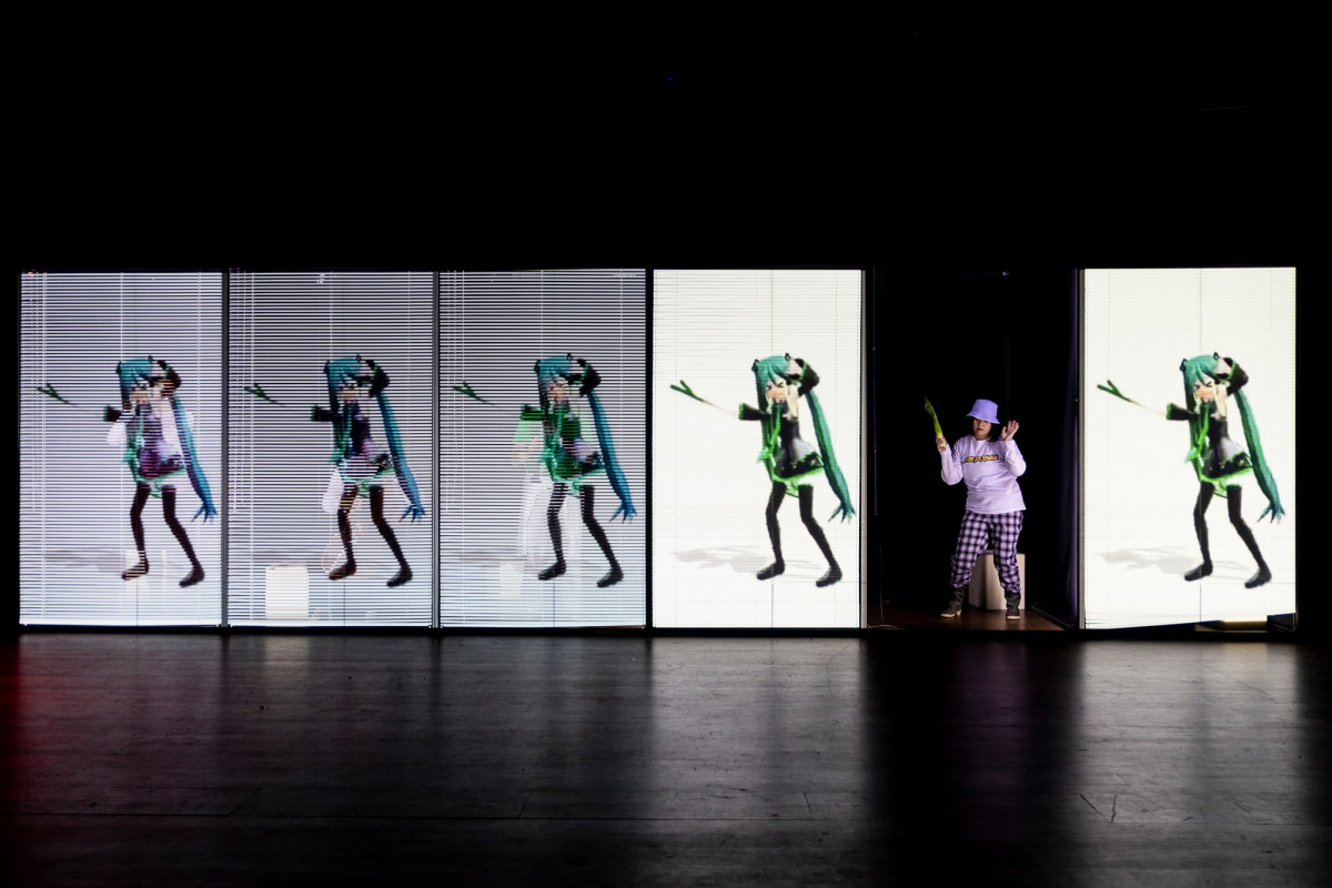 Hide to Show — Festival Musica